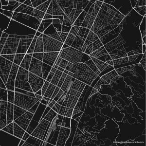Turin figure-ground diagram & city map FIGUREGROUNDS